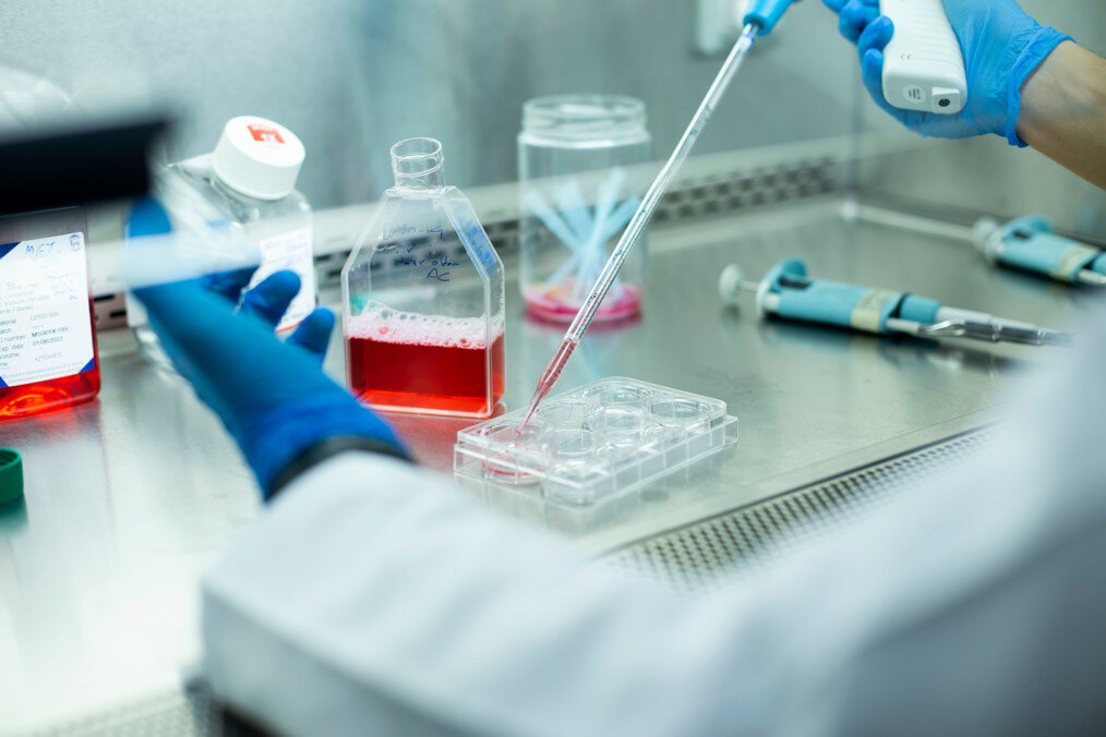 Scientific and Technical Service of Cell Cultures | Services ...